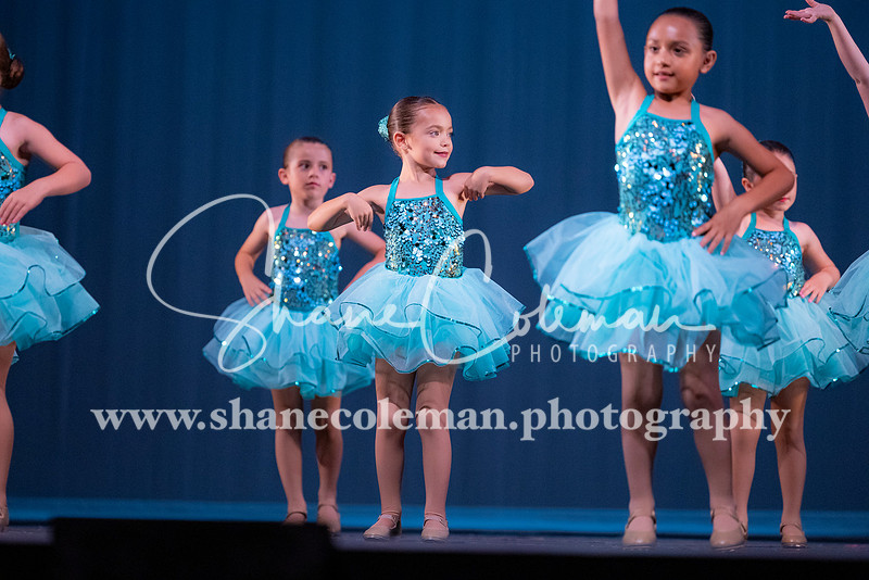 Shane Coleman Photography | Part 1-B