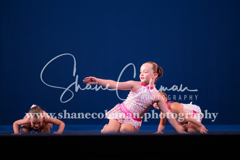 Shane Coleman Photography | Part 3